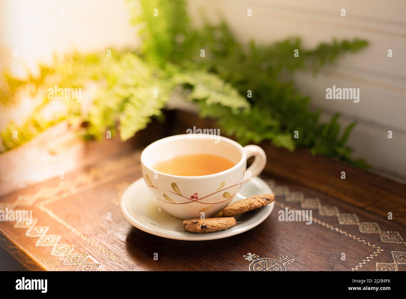 Tea cup placed on an old wooden table with green leaves background with ...