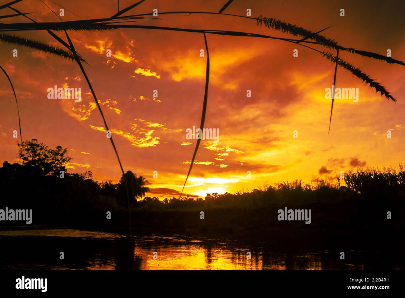 A scenic view of a sunset above a lake surrounded with greenery Stock ...