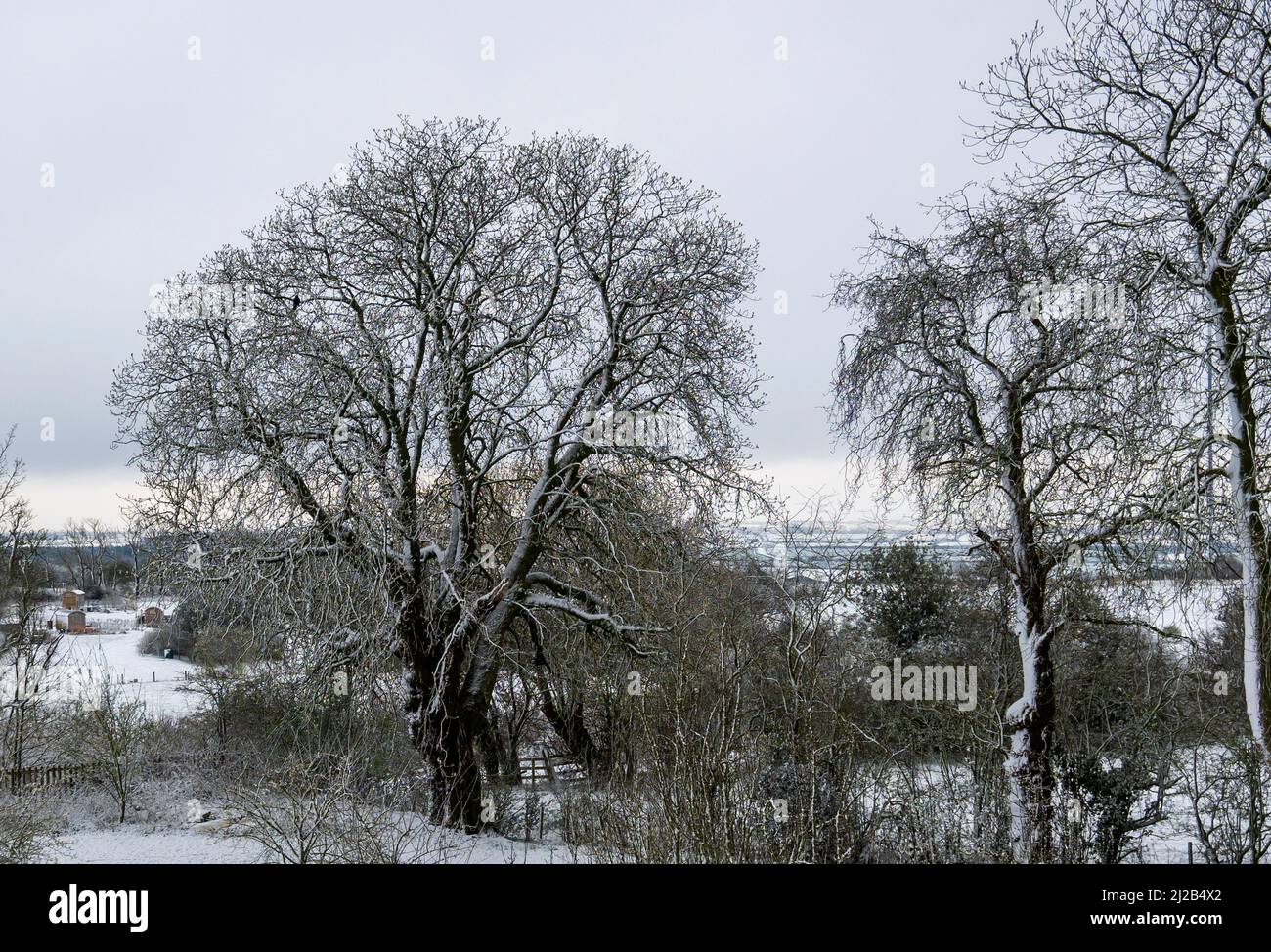 Clifford springs hi-res stock photography and images - Alamy