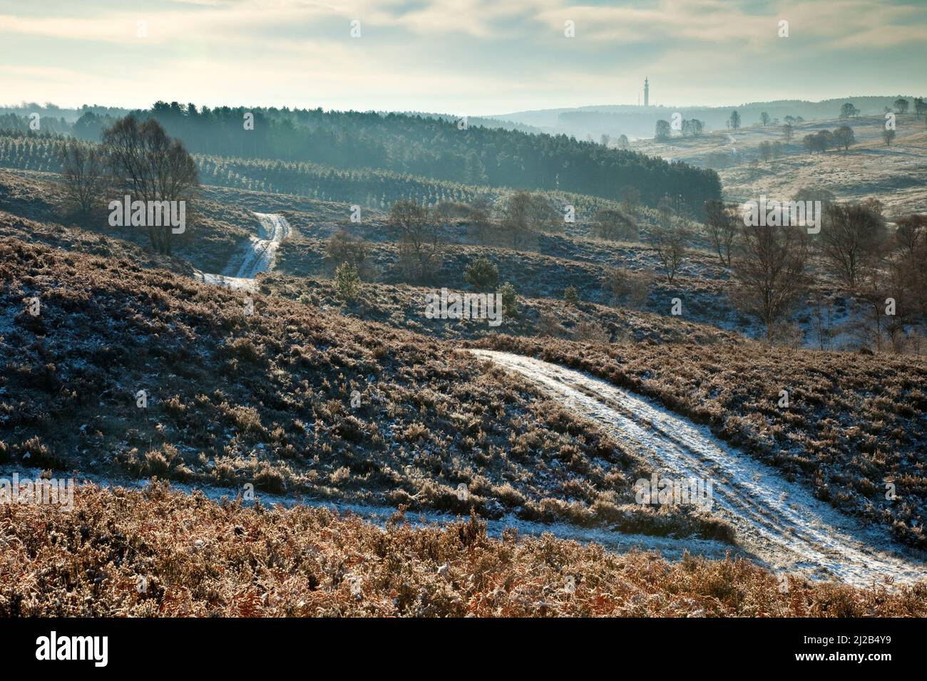 Frosty late autumn hill paths above Sherbrook Valley Cannock Chase ...