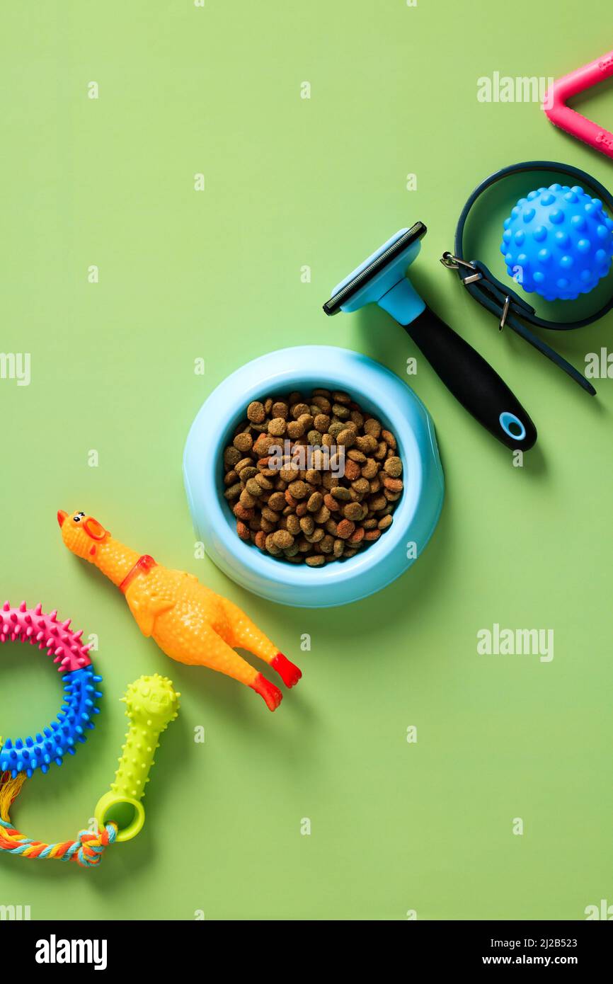 Flat lay composition with accessories for dog or cat and bowl of dry ...