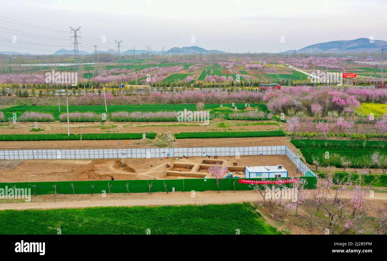 TENGZHOU, CHINA - MARCH 31, 2022 - An aerial photo taken on March 31 ...