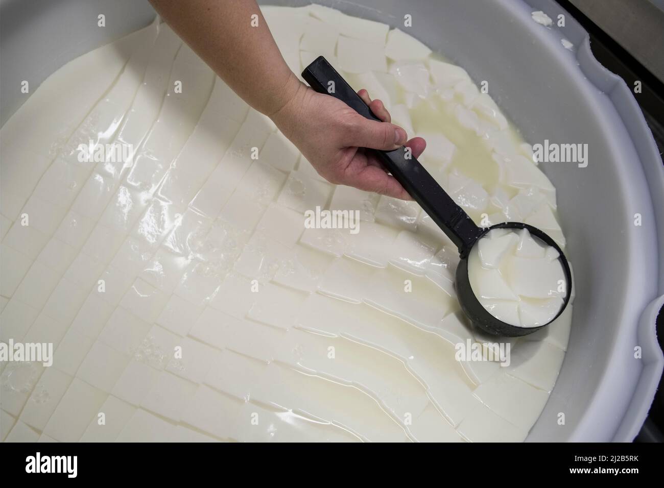 Unpasteurised dairy farm hi-res stock photography and images - Alamy