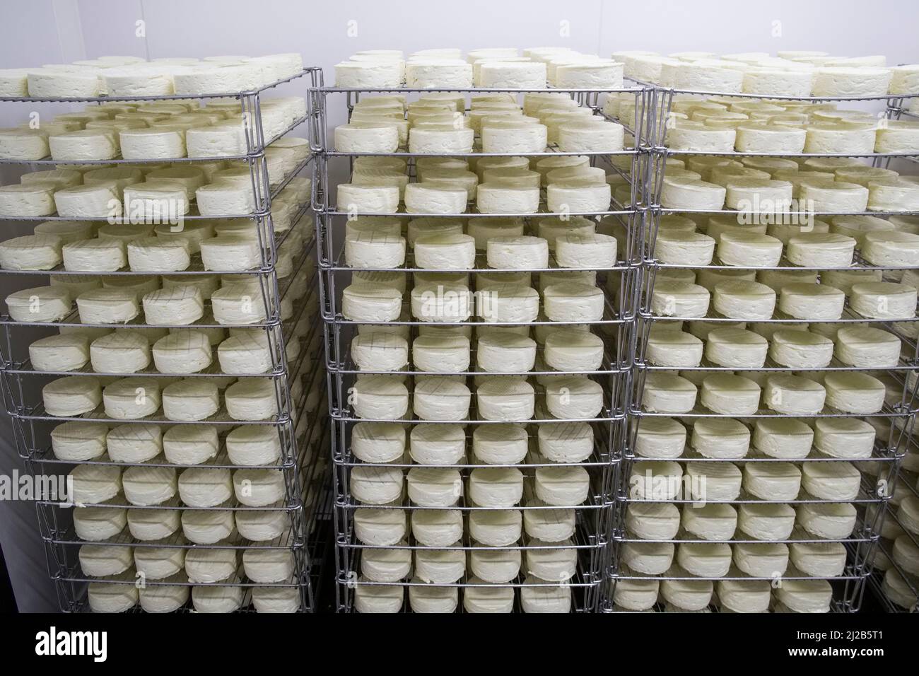 Cheese factory of the farm “Ferme des 5 Freres” in Terres-de-Caux ...