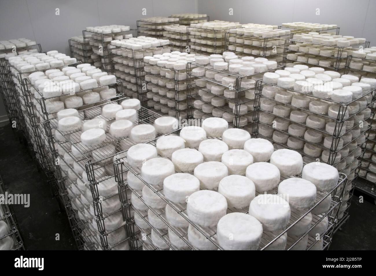 Storage room where cheese is matured hi-res stock photography and ...