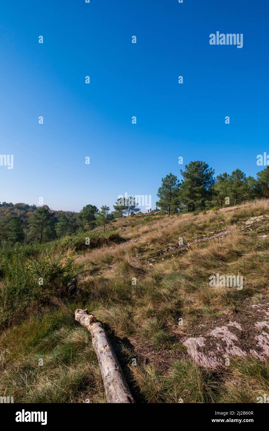 Paimpont hi-res stock photography and images - Alamy