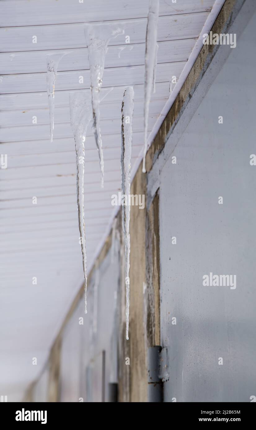 Sharp ice icicles hang under the plastic visor of the roof edge. On a ...