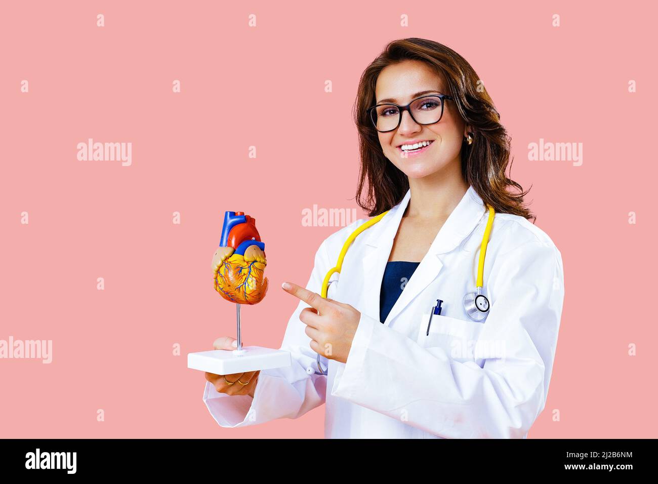 Female Doctor Cardiologist With Stethoscope Is Holding A Model Of Human