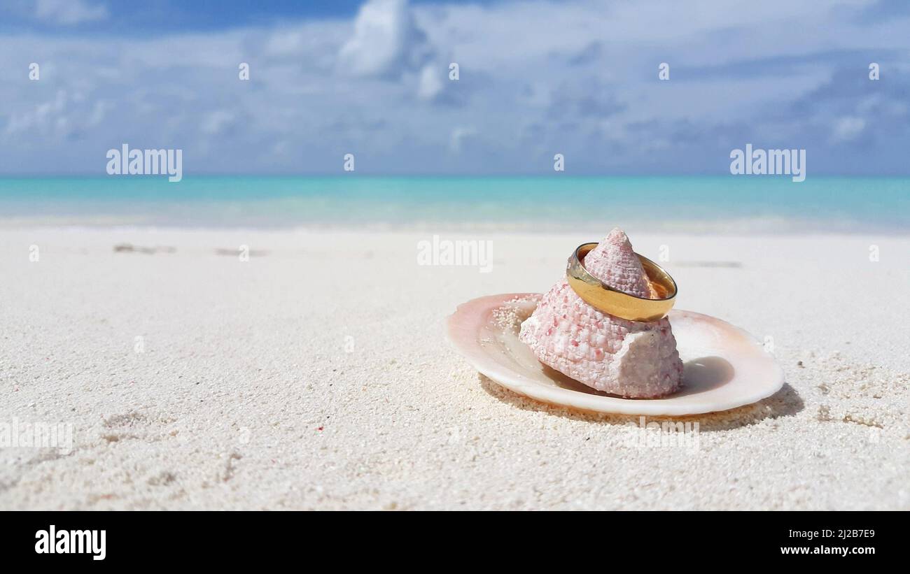 A beautiful shot of a ring on a shell at a beach near the Indian Ocean ...