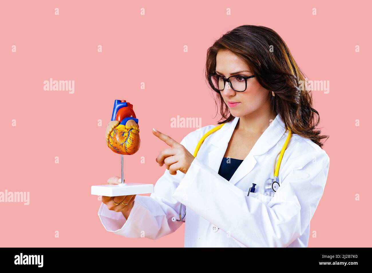 Female Doctor Cardiologist With Stethoscope Is Holding A Model Of Human