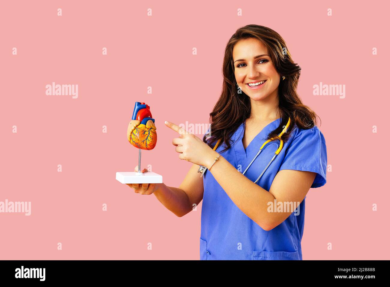 Female doctor cardiologist in blue uniform with stethoscope is holding ...
