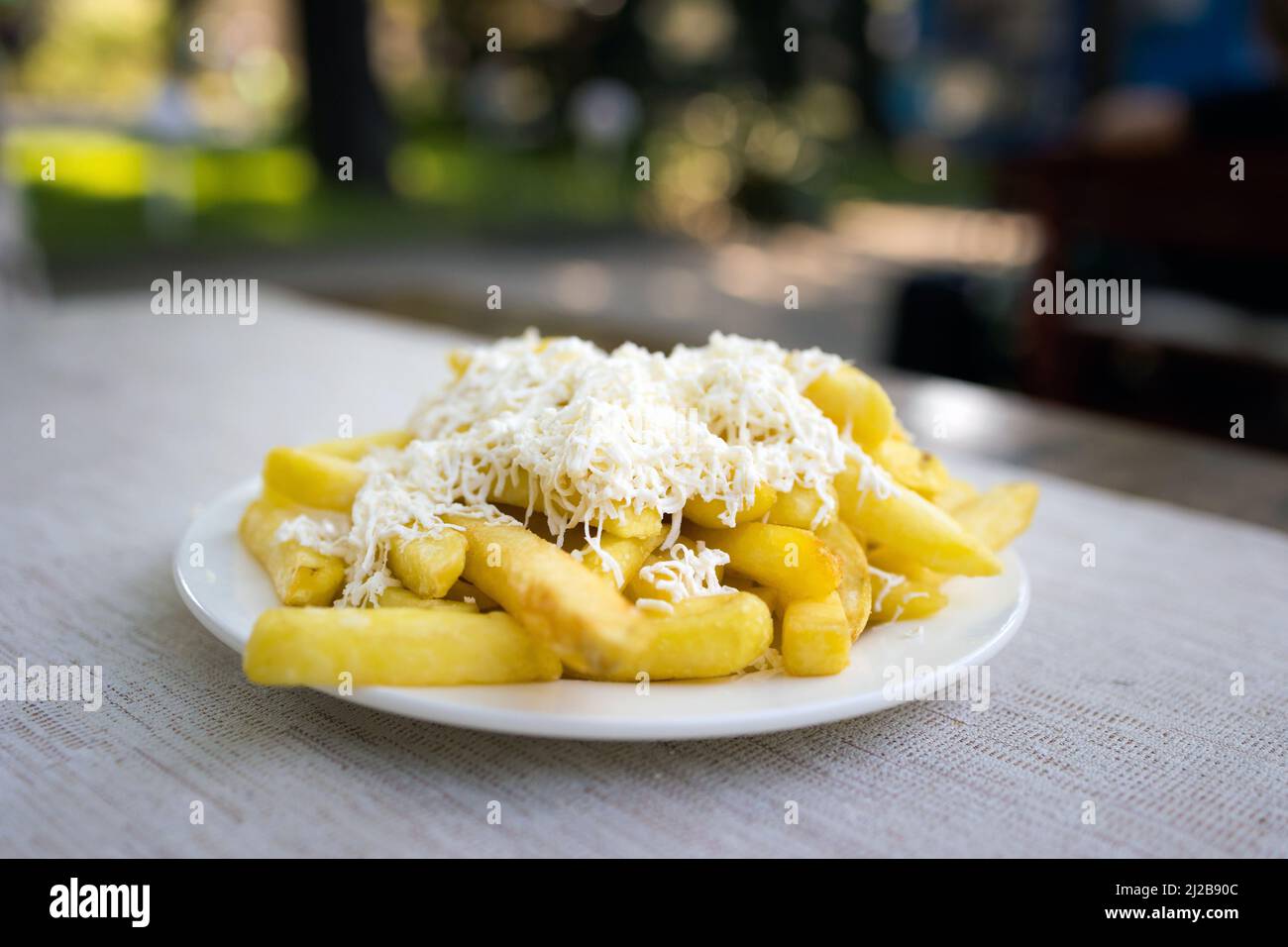 Delicious colorful vegetarian local food french fries with cheese in a ...