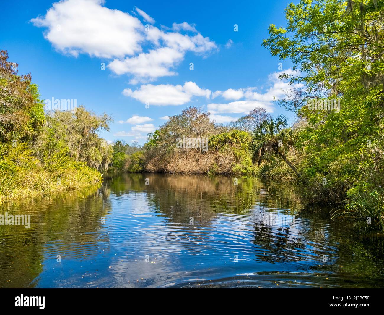 Shell Creek at HathaWay Park in Punta Gorda USA Stock Photo - Alamy