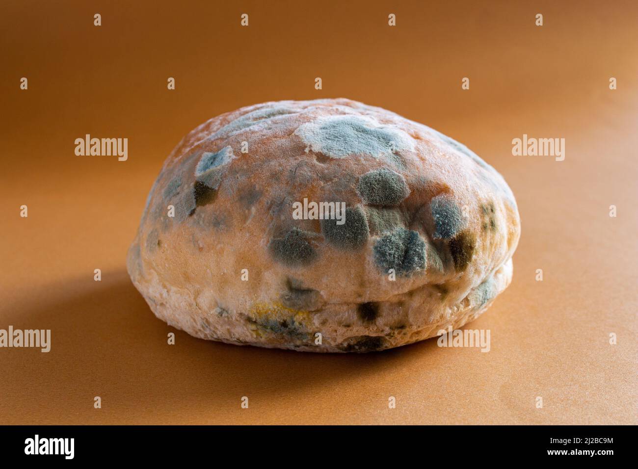 Moldy bread. Closeup photo of rotten bread on color background. Waiting ...