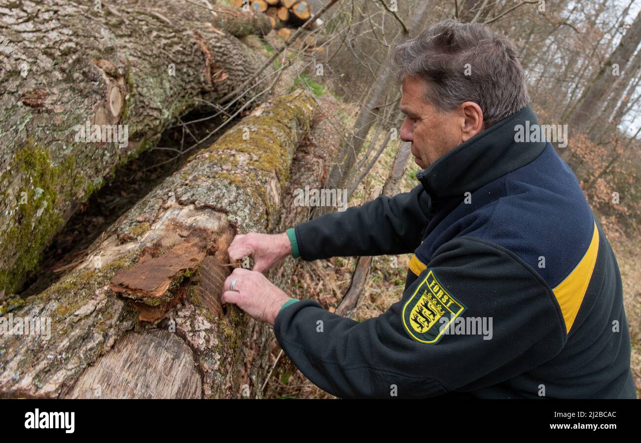 Skin rashes hi-res stock photography and images - Alamy