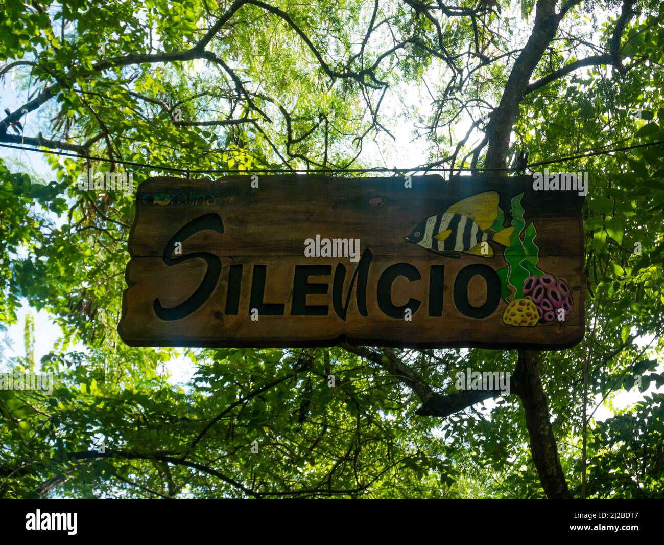 Symbol of a Wood Board with the Name of "Silence" in Old Point Mangrove ...
