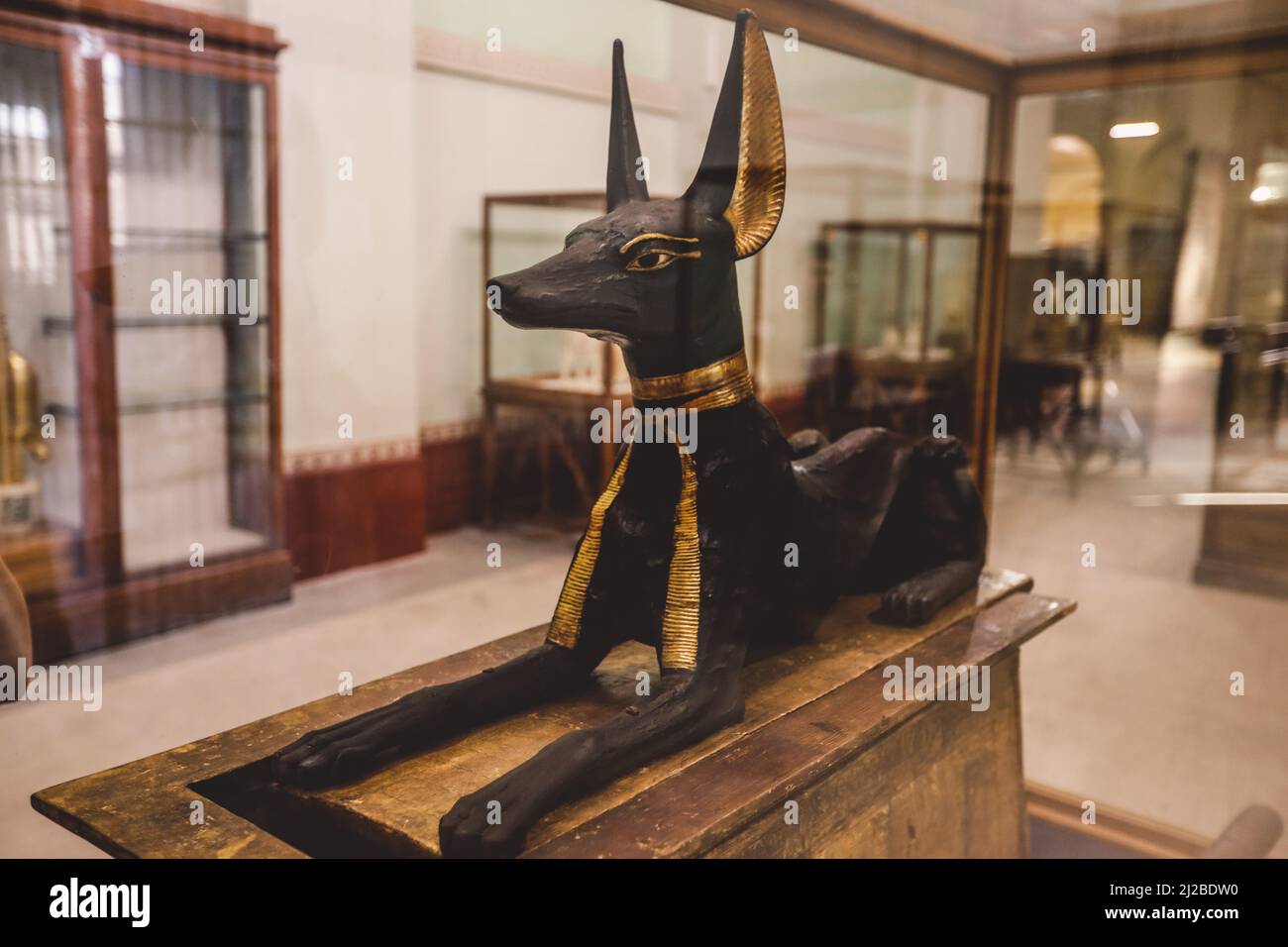 Sitting Black and Gold Statue of Ancient Egyptian God of Death Anubis ...