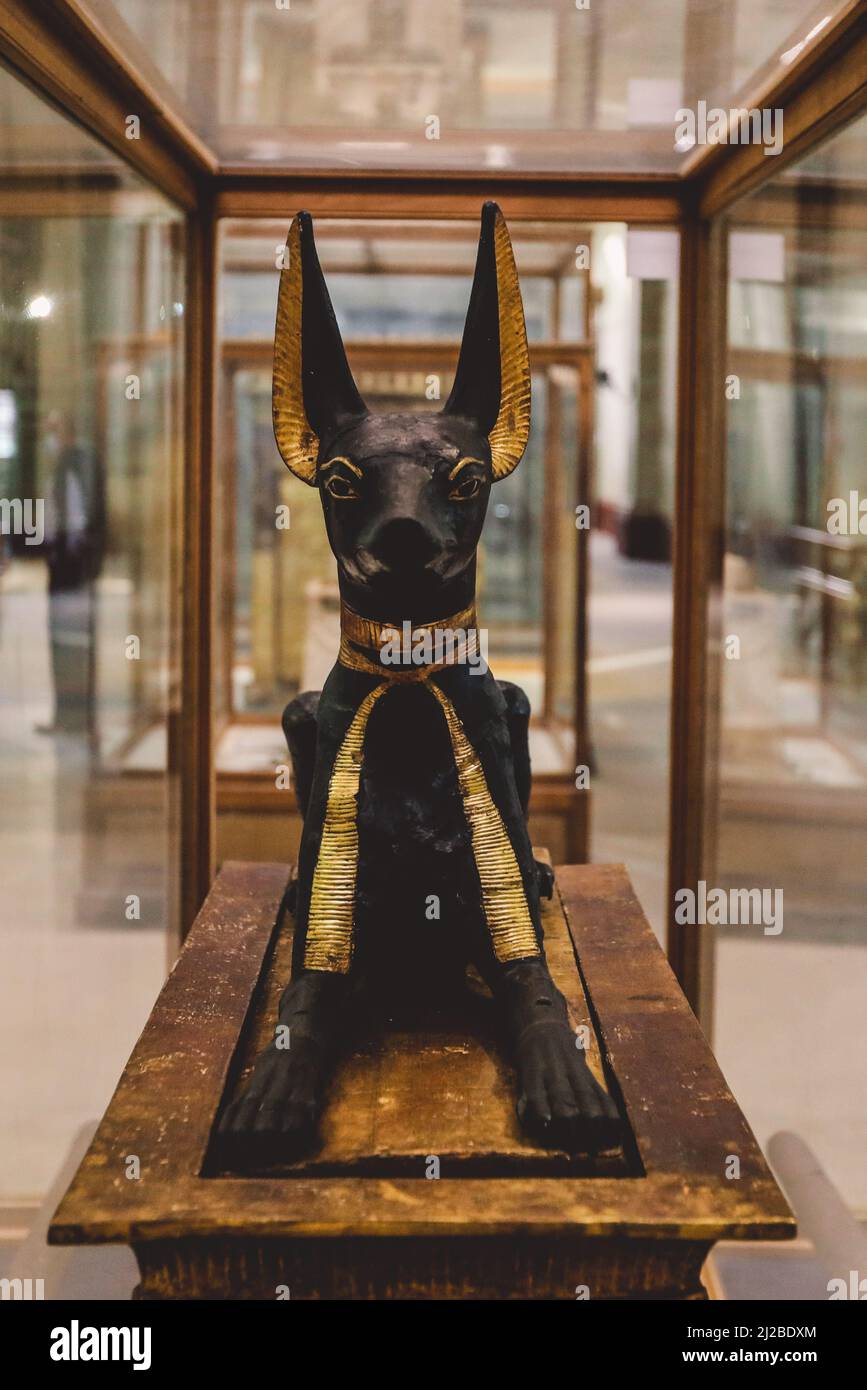 Sitting Black and Gold Statue of Ancient Egyptian God of Death Anubis ...