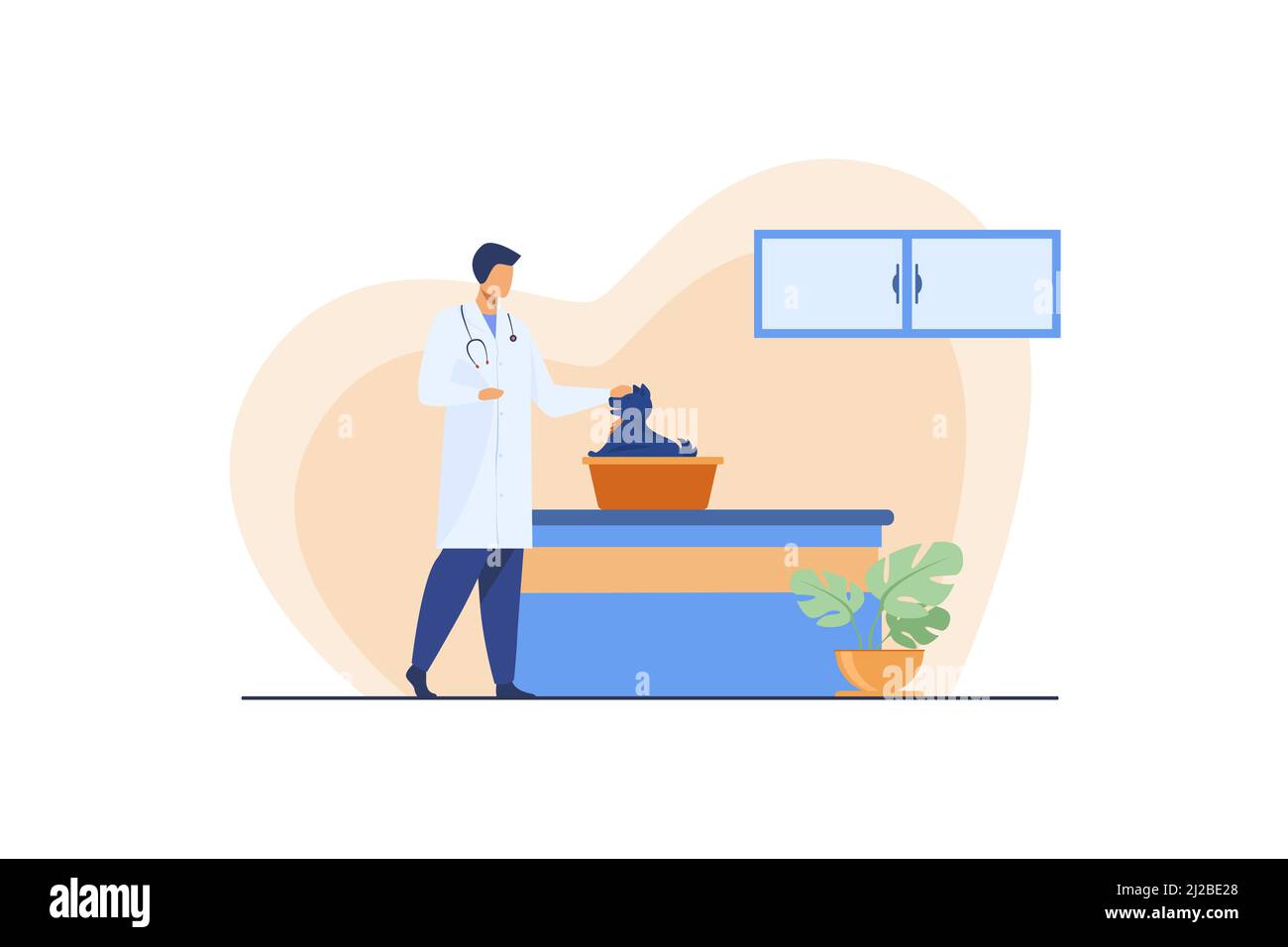Veterinarian examining small dog sitting on table. Clinic, doctor ...
