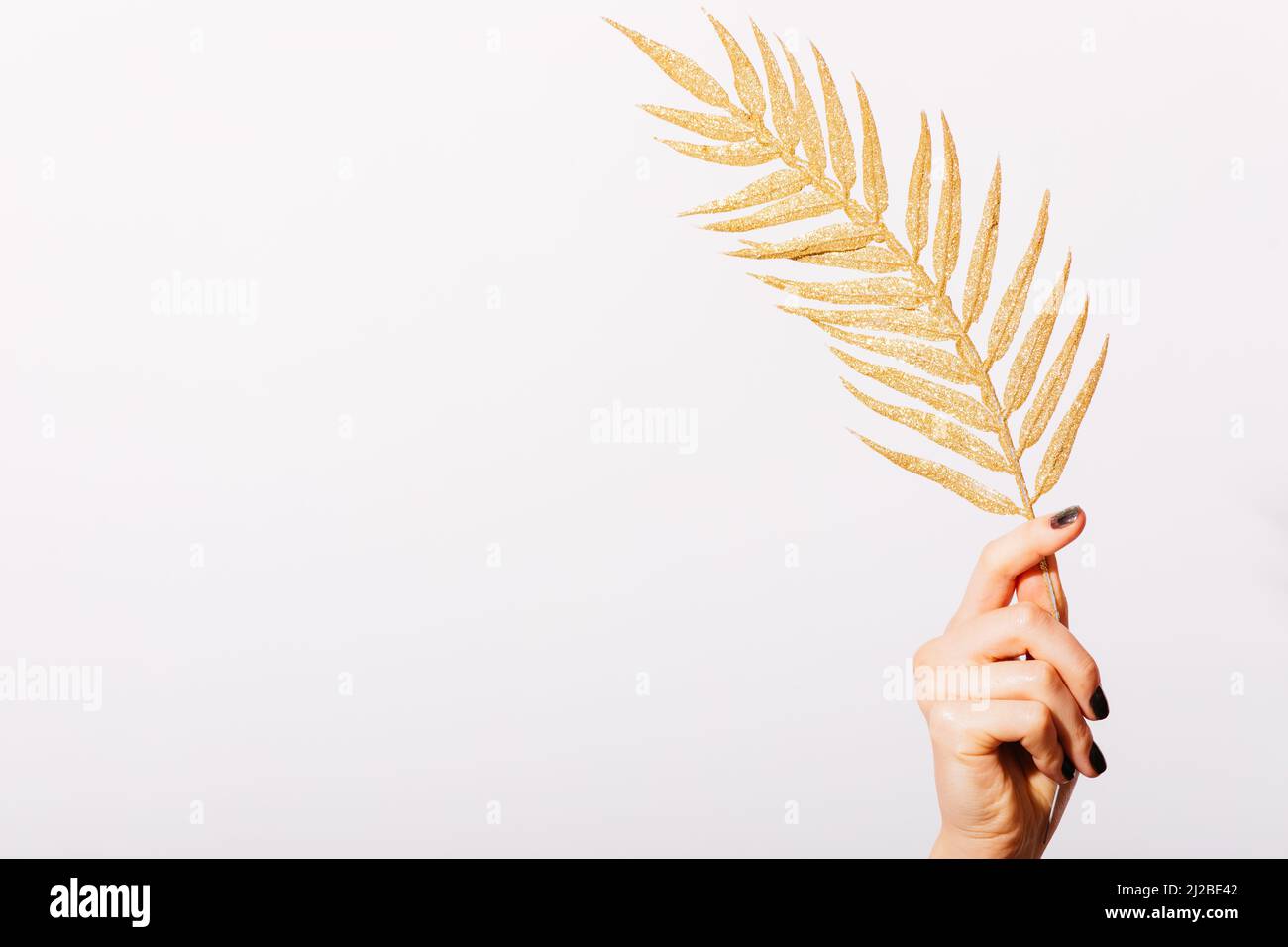 Female hand holding branch hi-res stock photography and images - Alamy