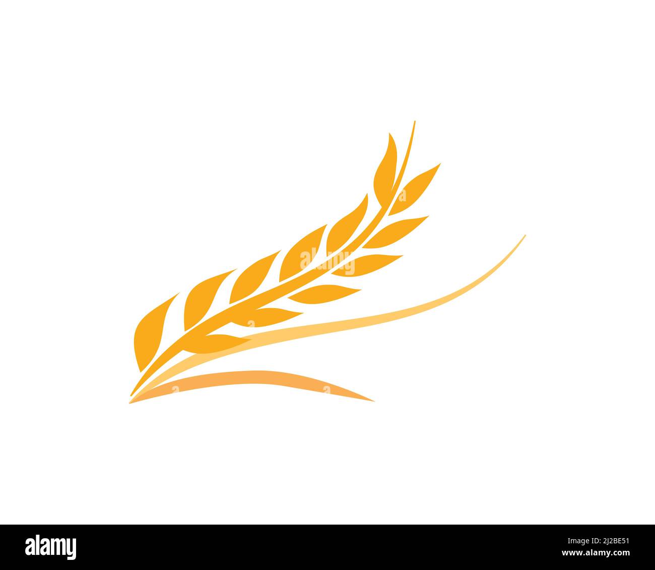 Agriculture Wheat Grain and Wheat Rye Vector Stock Vector Image & Art ...