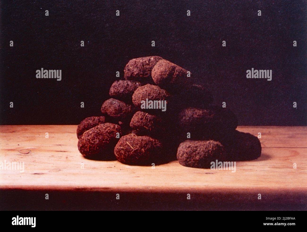 Excrements, artwork by French artist Gerard Gasiorowski, 1970s Stock ...