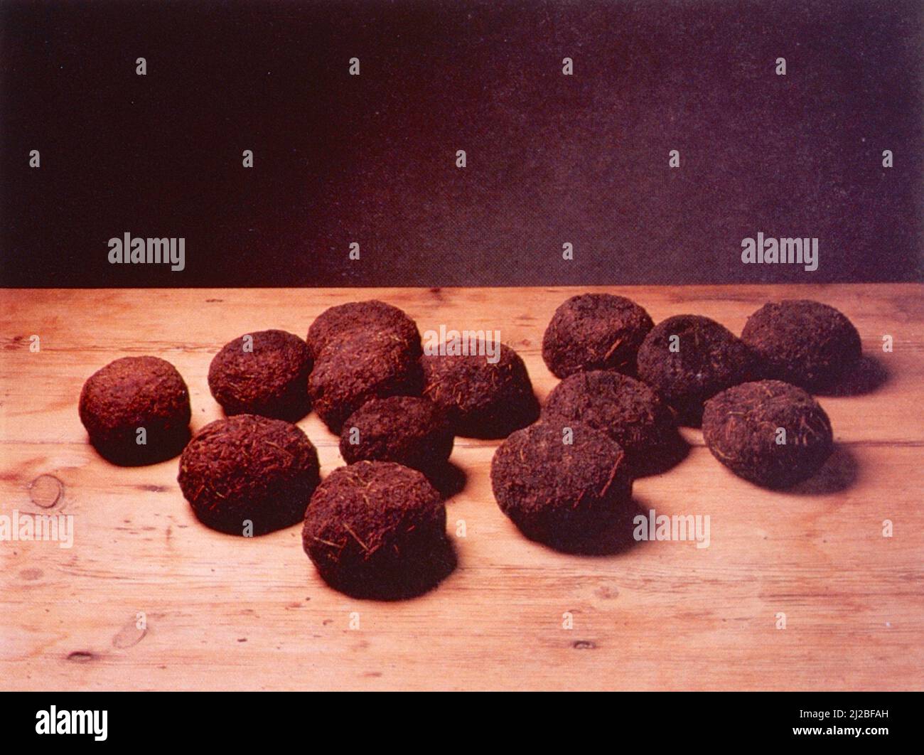 Excrements, artwork by French artist Gerard Gasiorowski, 1970s Stock ...