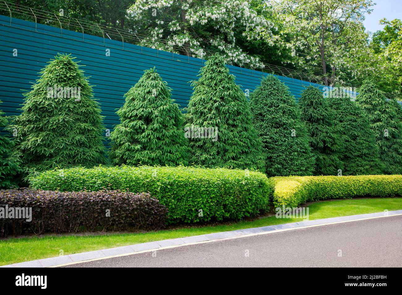 roadside asphalt road with drainage canal with green plants deciduous ...