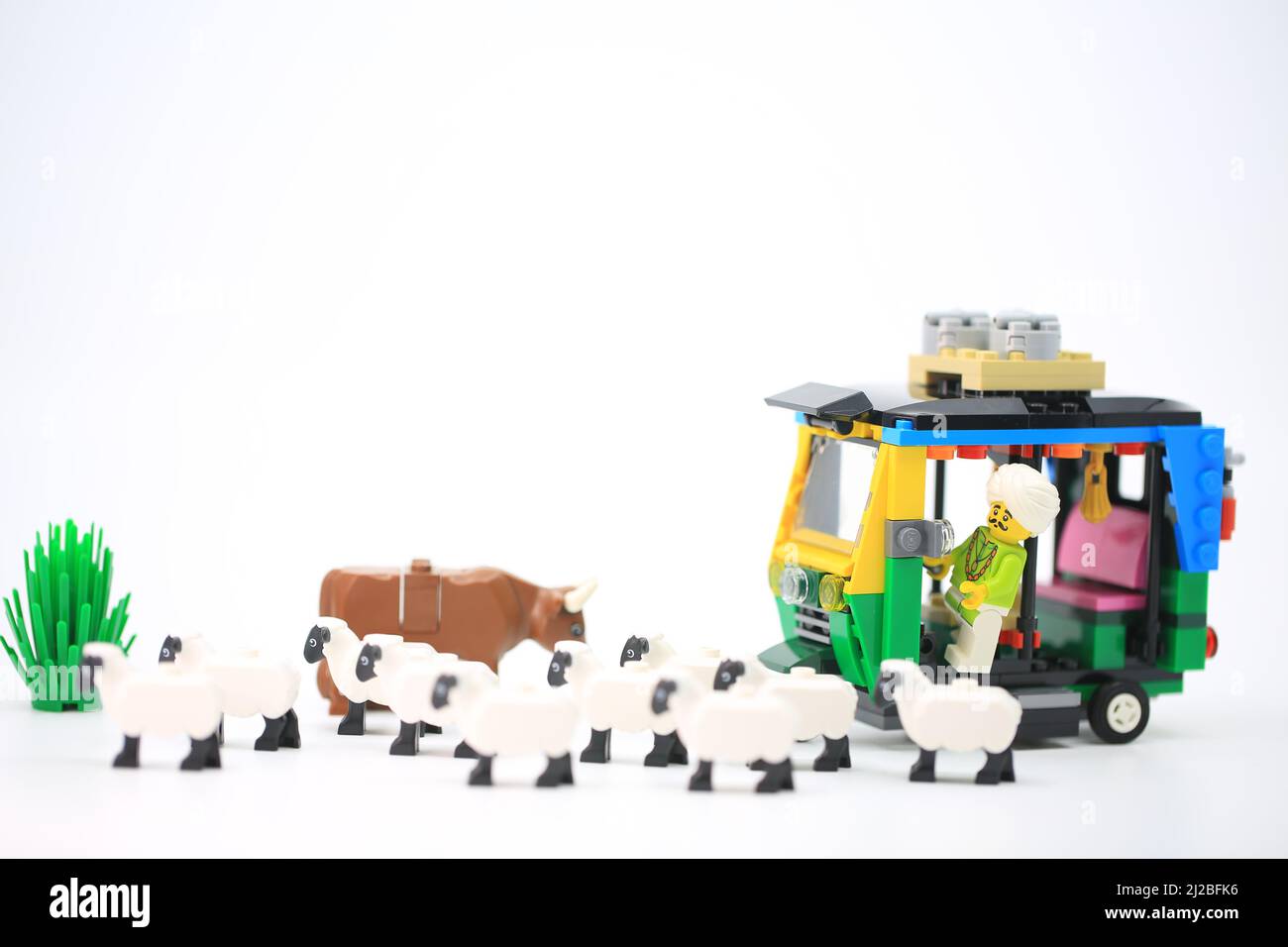 flock of sheep block the road Stock Photo - Alamy