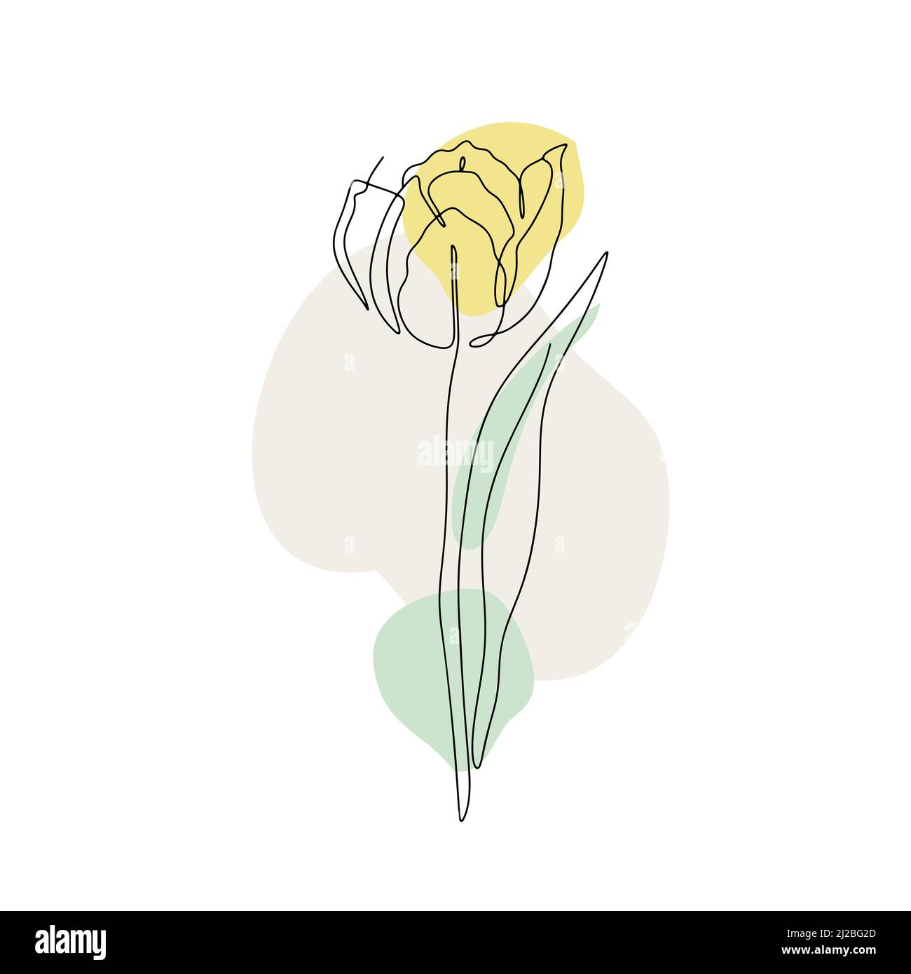 One line drawing tulip. Hand drawn single line flower with neutral ...