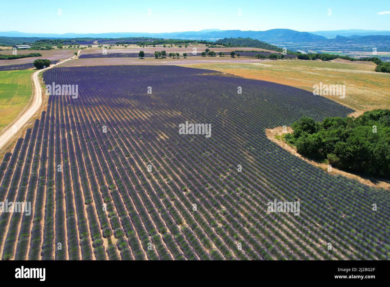 Aerial view of lavender fields in valensole, france hi-res stock photography and images - Alamy