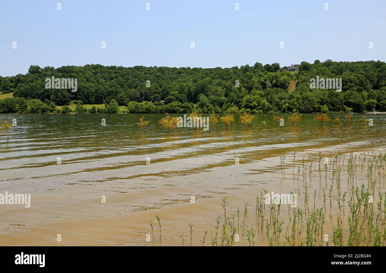 Beautiful landscape normandy hi-res stock photography and images - Alamy