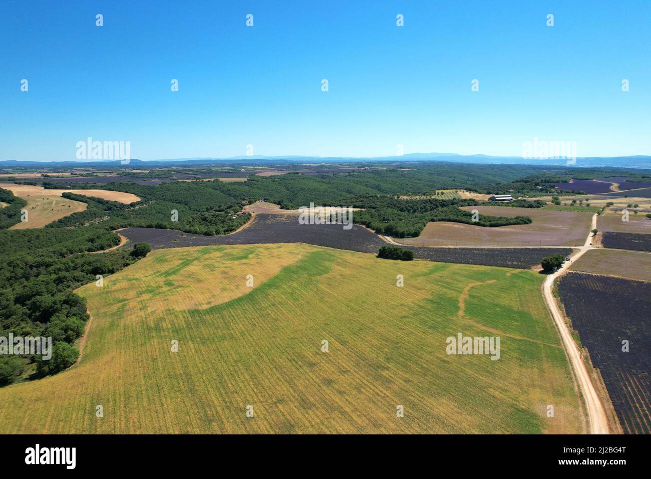Aerial view of the lavender fields on the Plateau de Valensole in the ...