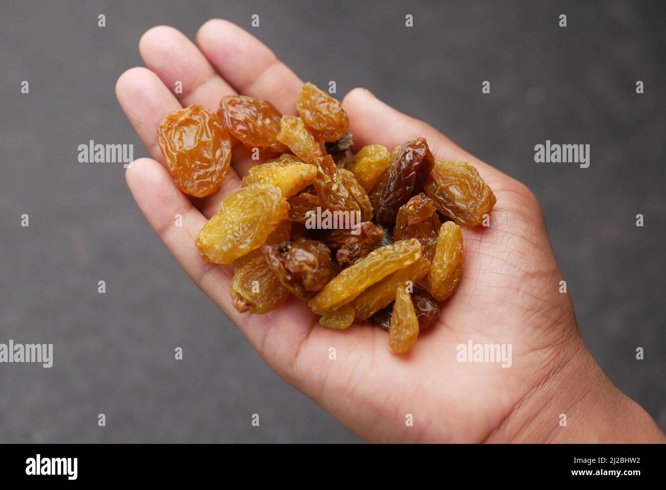 big size raisin on hand close up Stock Photo - Alamy