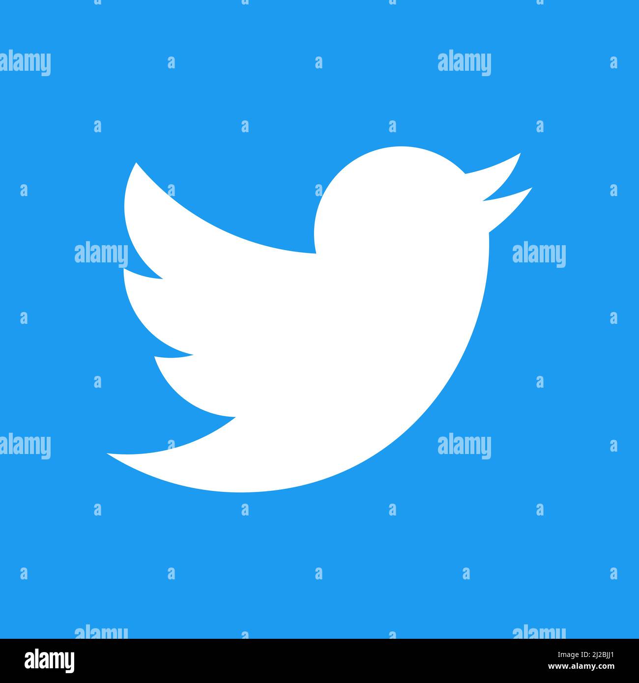Twitter social media app icon Stock Vector Image & Art - Alamy