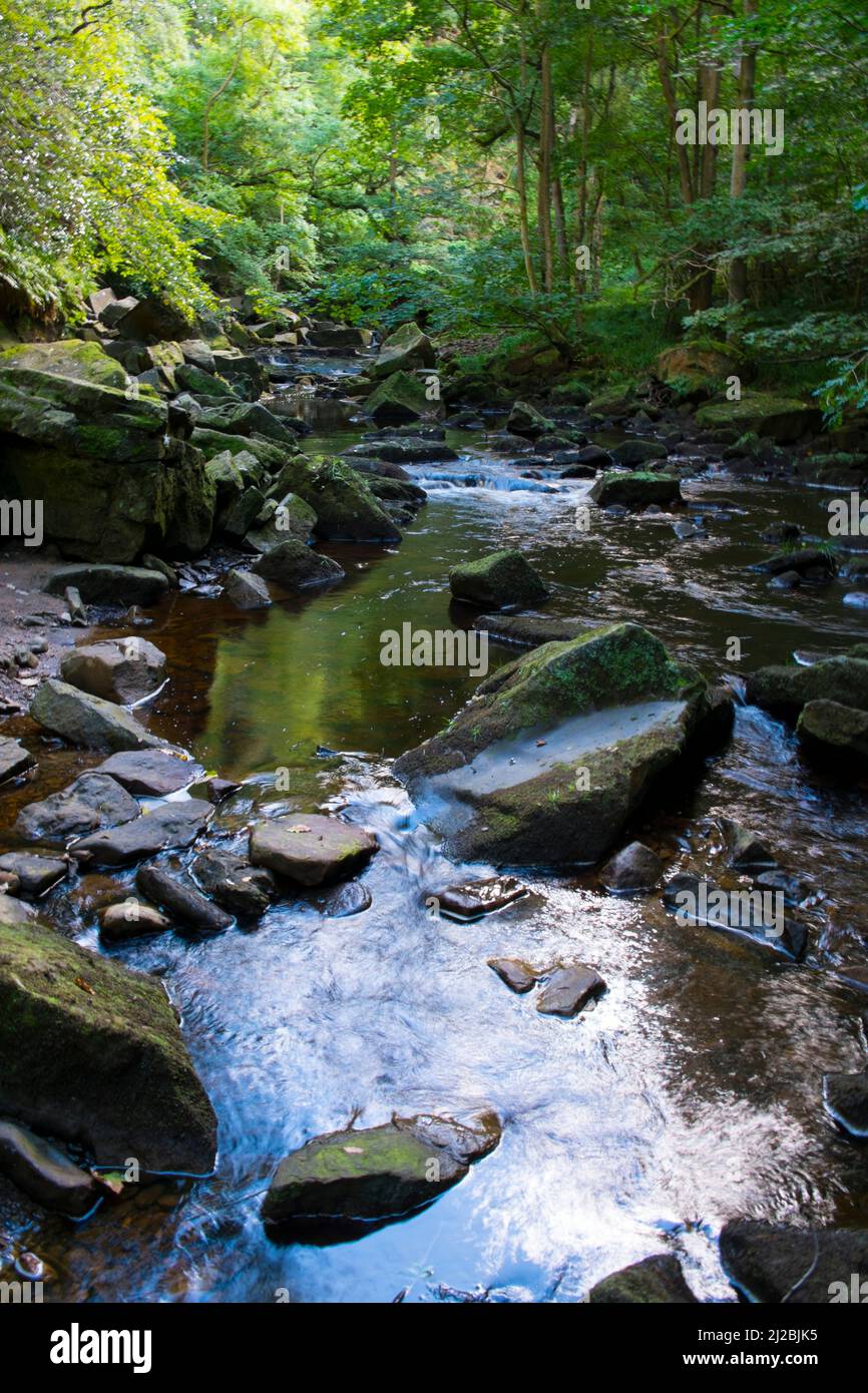 Eller beck north york moors hi-res stock photography and images - Alamy