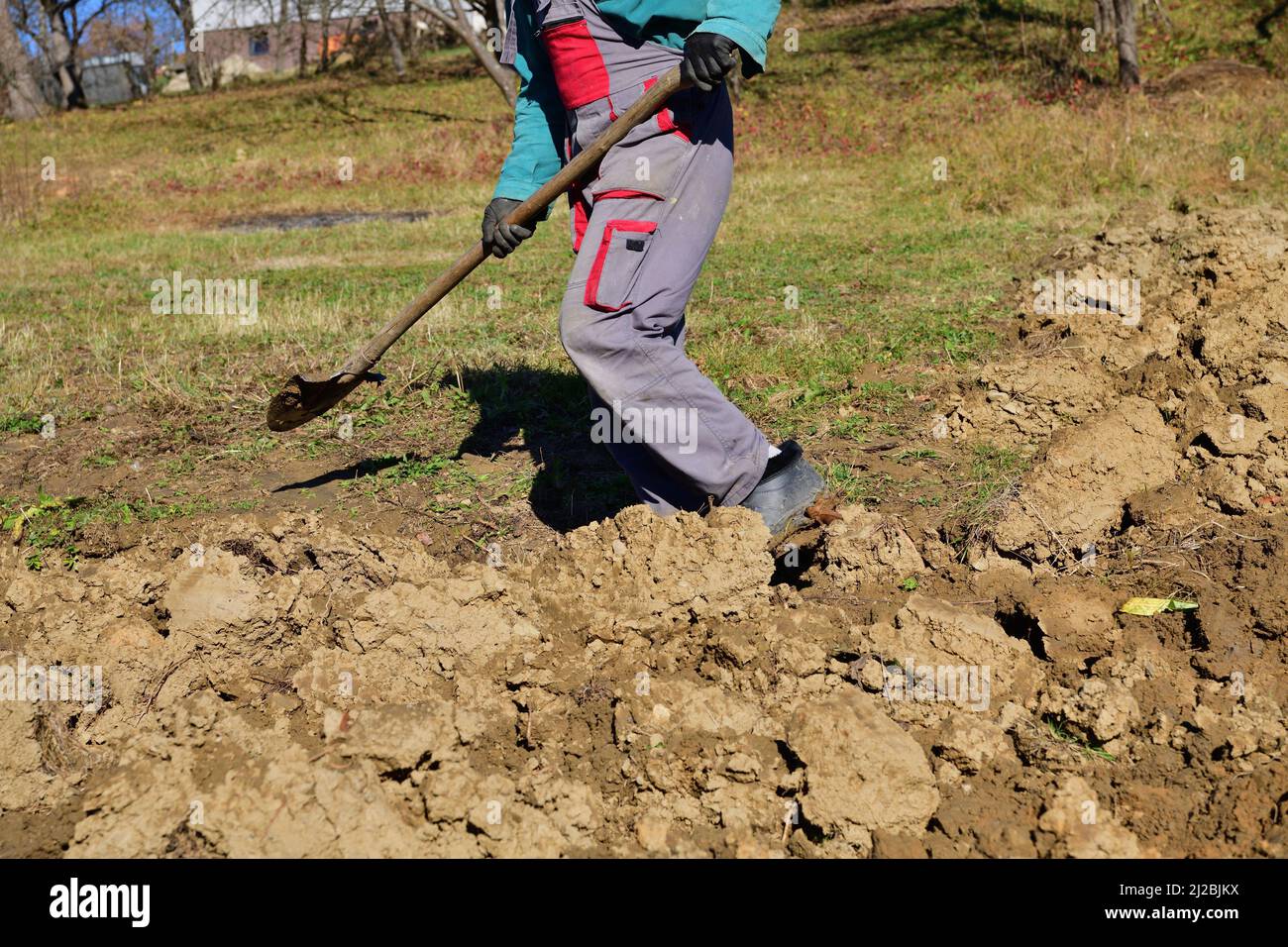 Traditional handmade cultivating the land in autumn garden Stock Photo ...