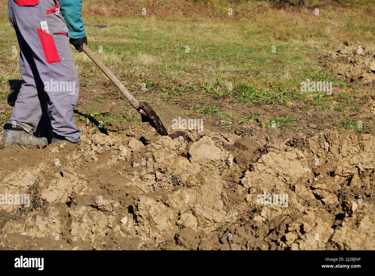 A farmer in a field hoeing the soil by hand before planting the seeds ...