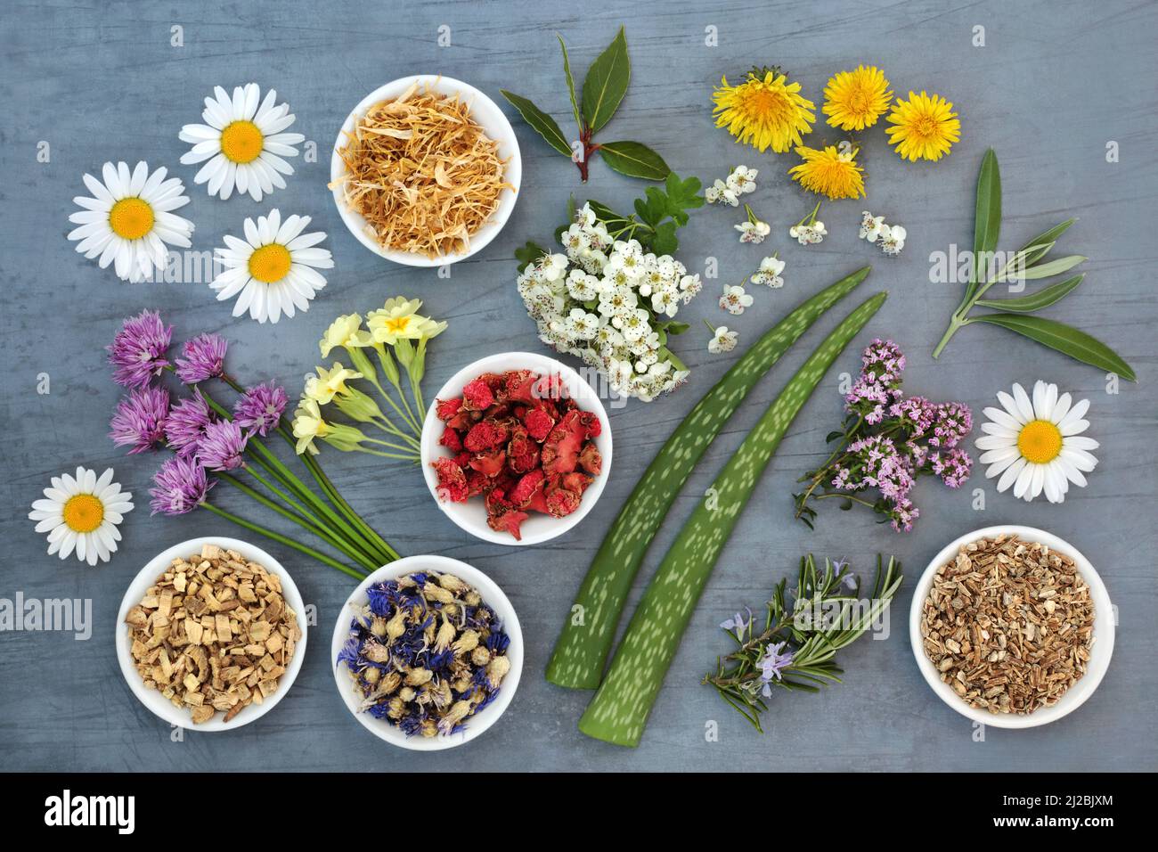 Healing herbs and flowers used in herbal plant medicine in bowls and ...