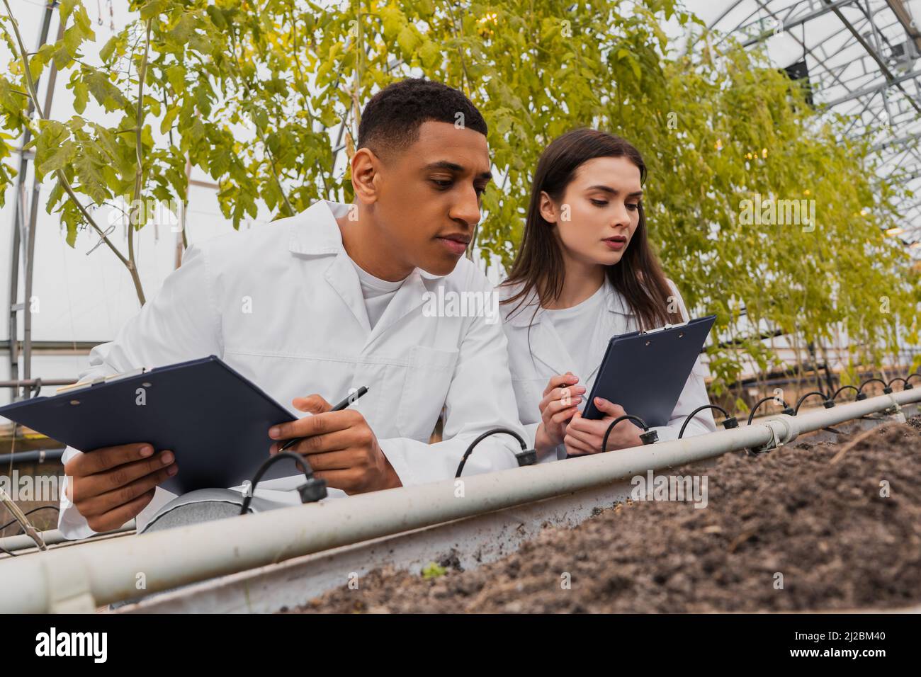Black woman white man plants greenhouse hi-res stock photography and ...