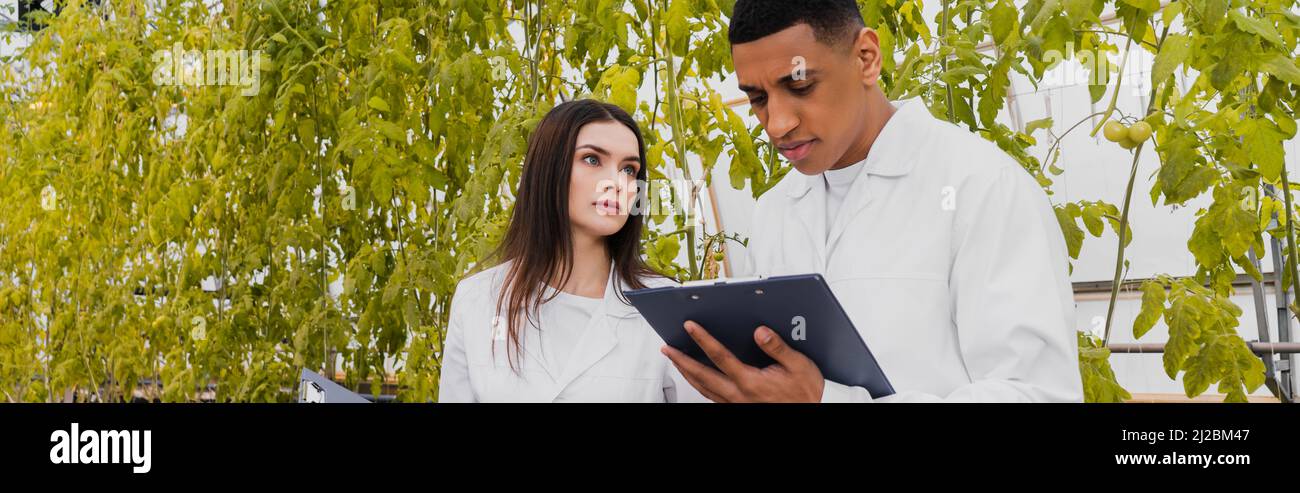 African american botanist in white coat holding clipboard near ...