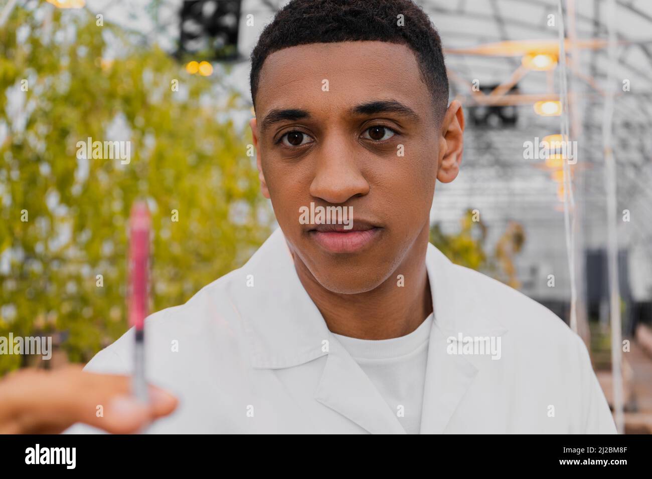 African american botanist holding blurred syringe in greenhouse Stock ...
