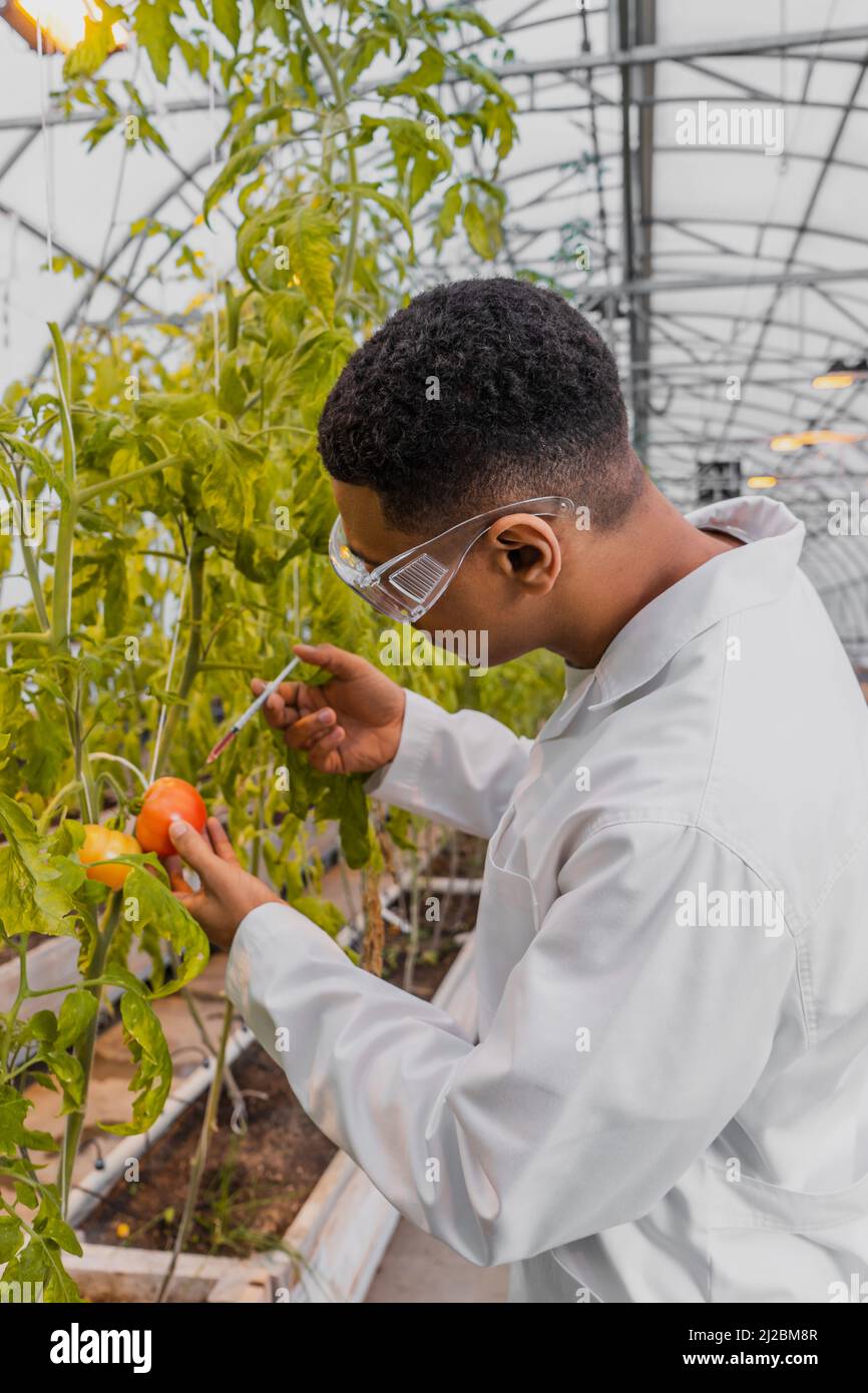 Side view of african american botanist in white coat holding syringe ...