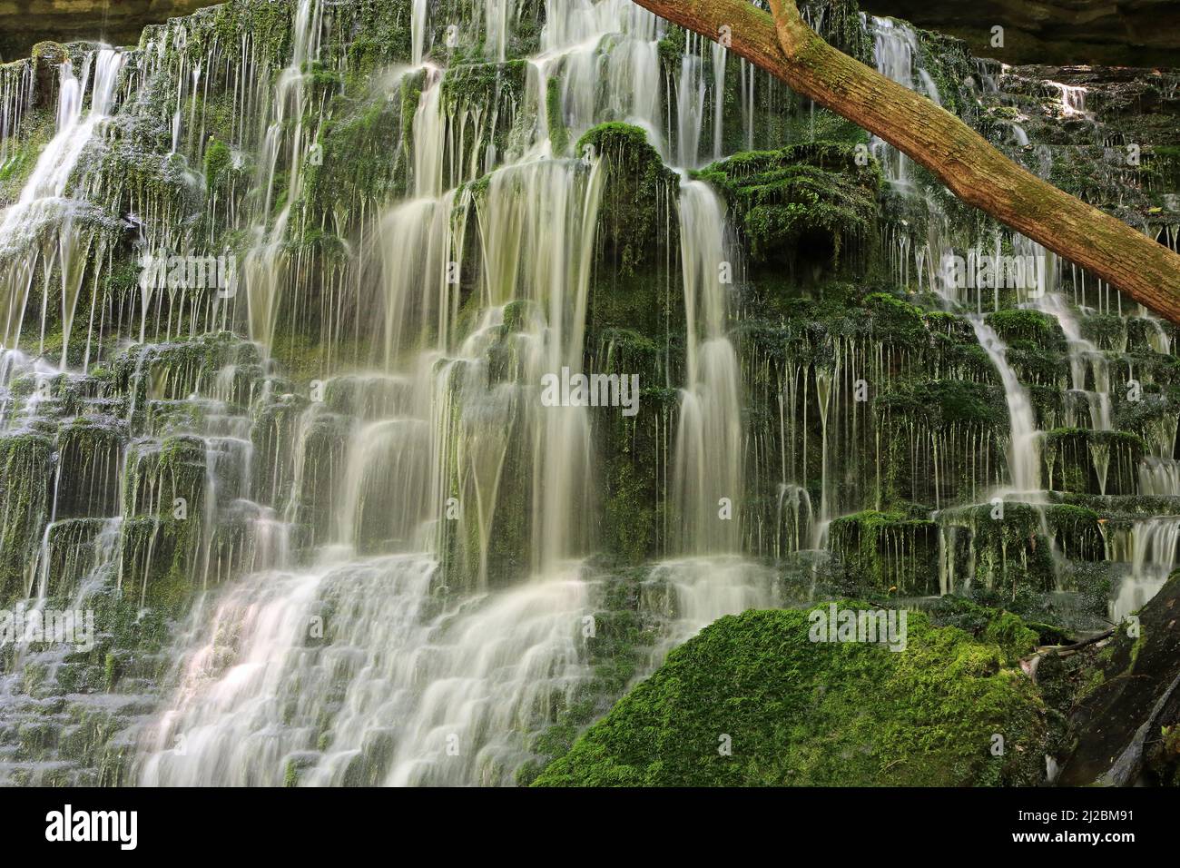 Busby hi-res stock photography and images - Alamy