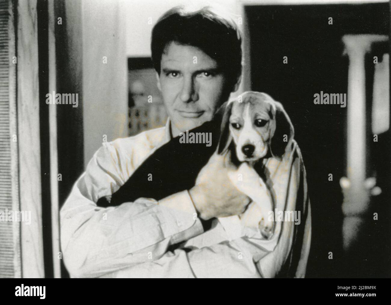 American actor harrison ford hi-res stock photography and images - Alamy