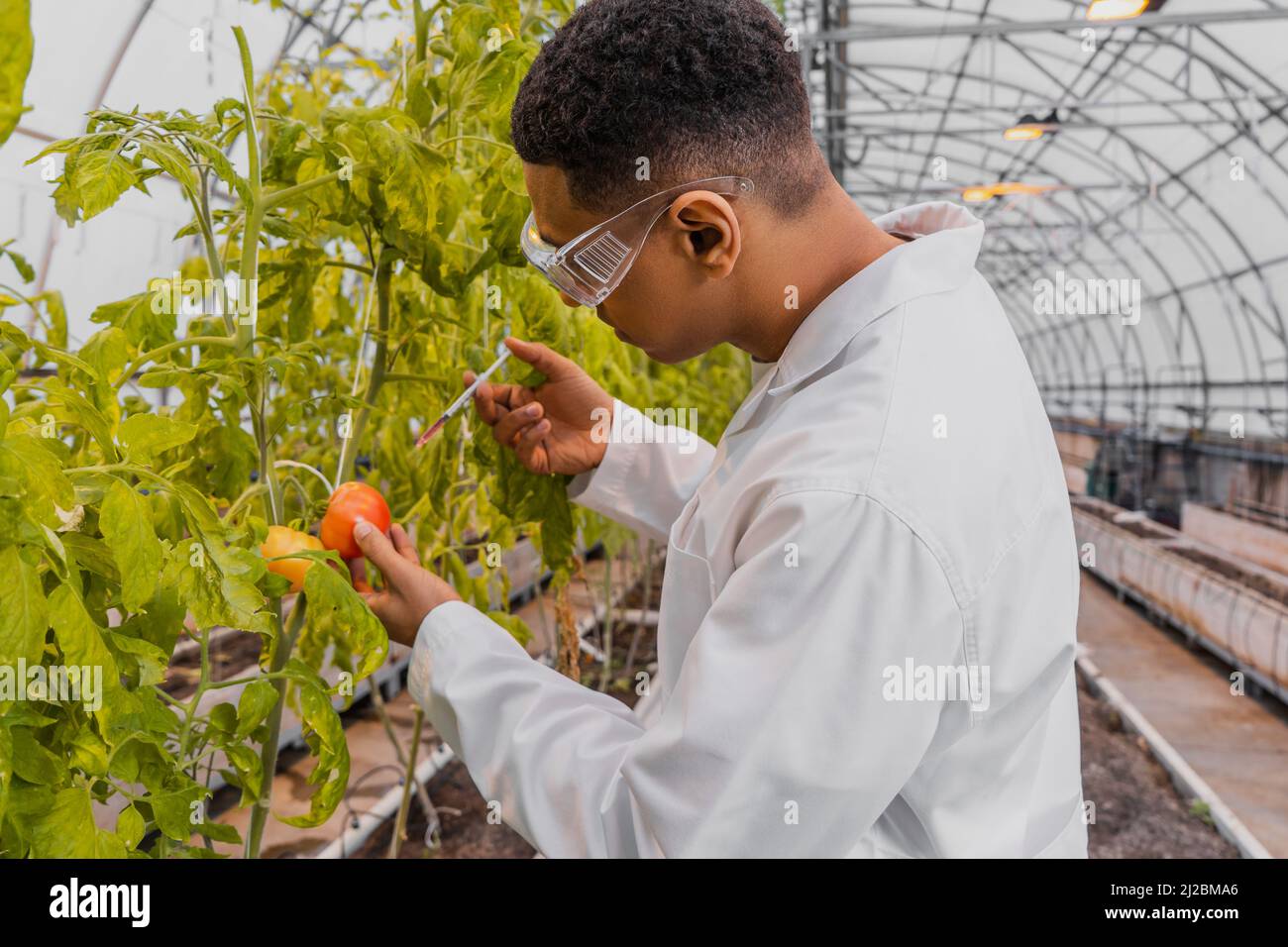 African american botanist hi-res stock photography and images - Alamy