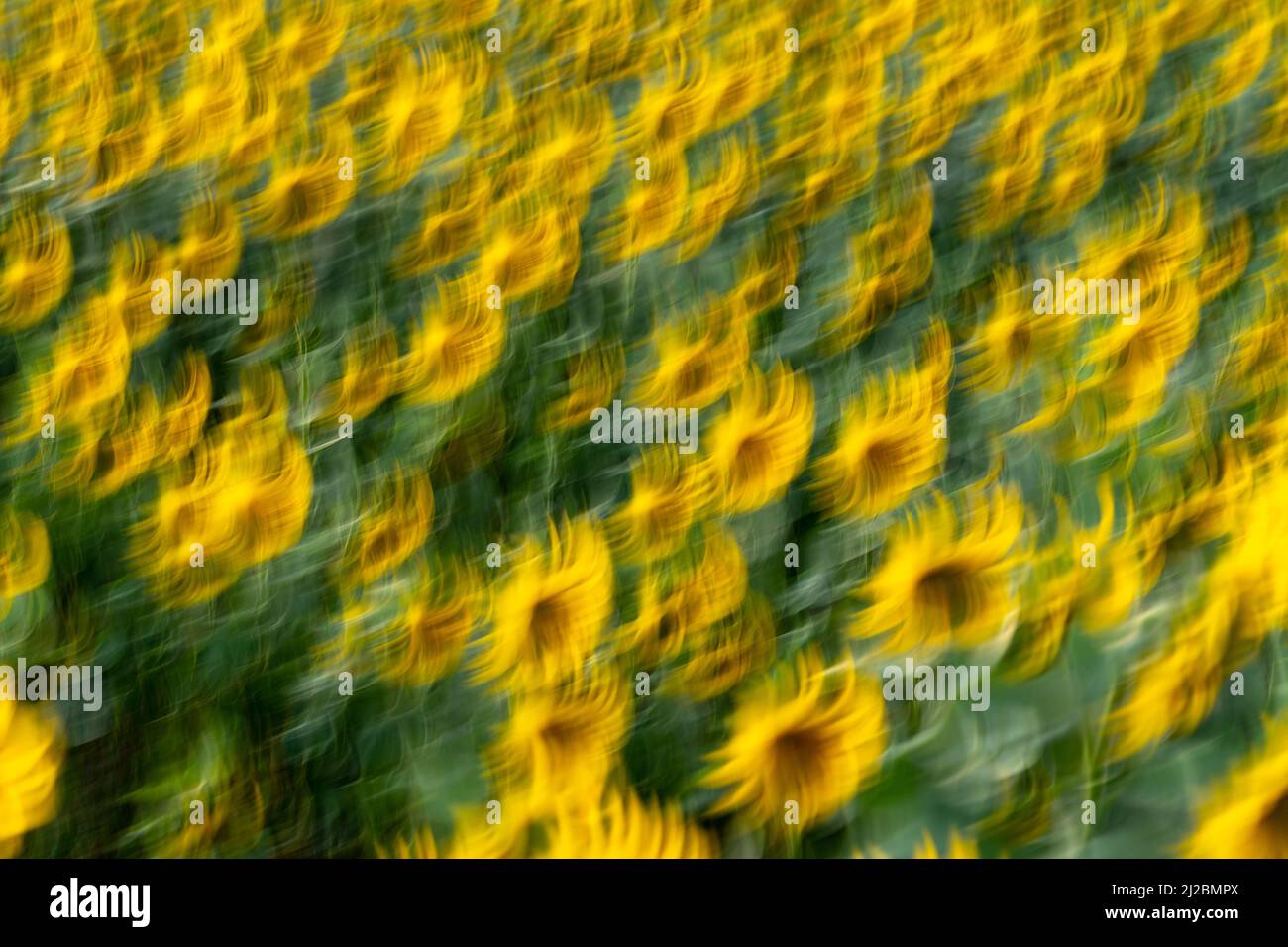 Motion backgrounds hi-res stock photography and images - Alamy