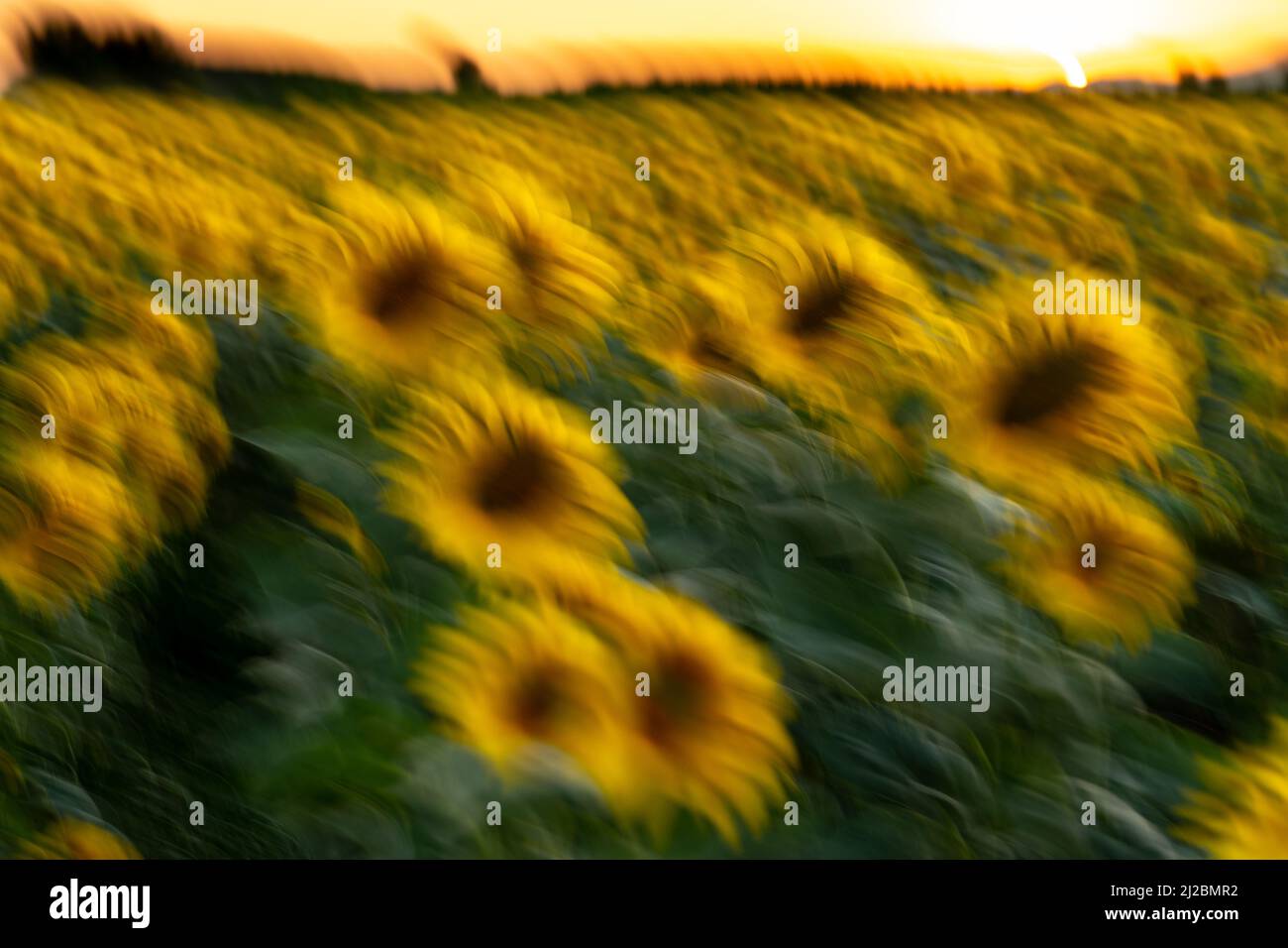 Motion backgrounds hi-res stock photography and images - Alamy