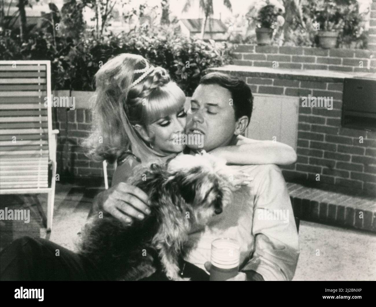 Barbara eden hi-res stock photography and images - Alamy