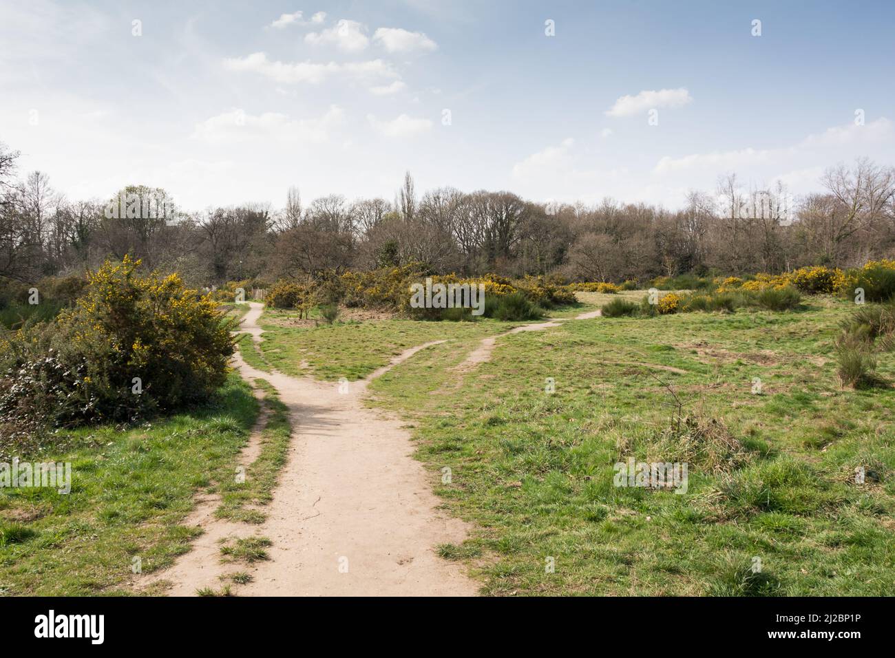 Well-worn dirt paths on Barnes Common, Barnes, London, SW13, England ...